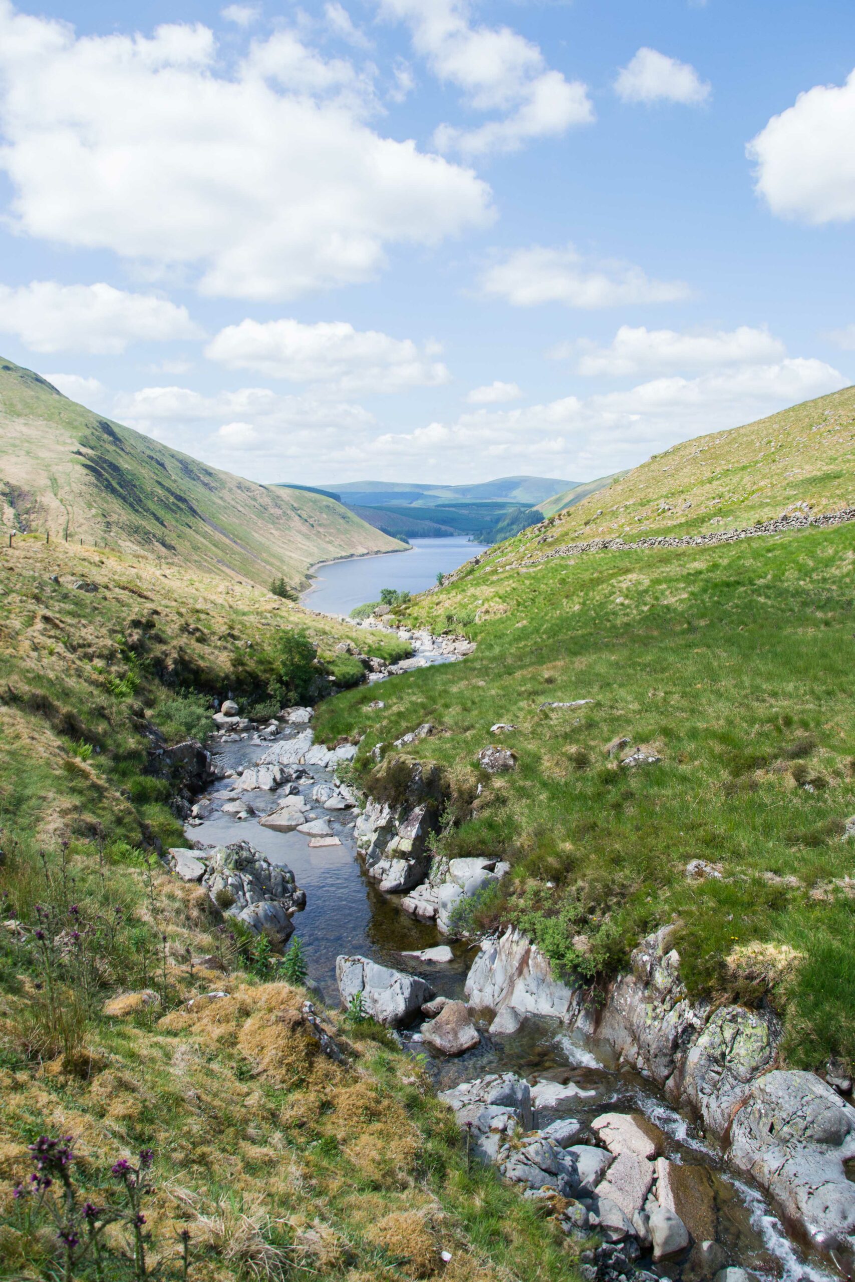 Reviving the Wild Heart - Destination Tweed : Destination Tweed
